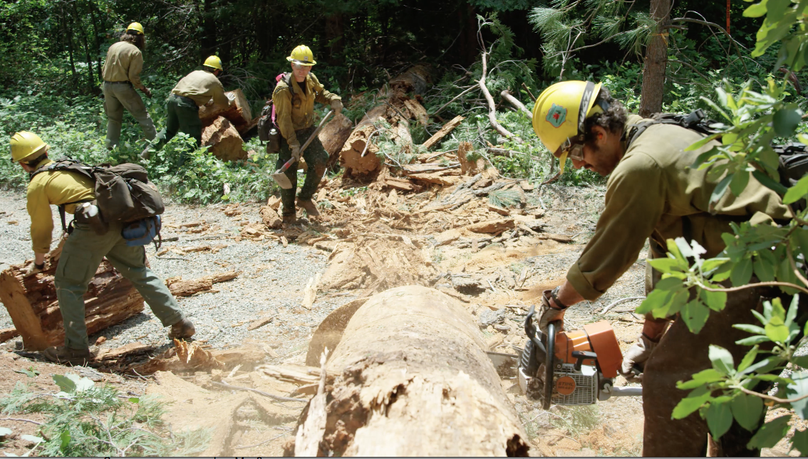 TTCF announces partnership with the National Forest Foundation - Tahoe ...